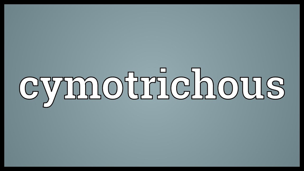 Cymotrichous Meaning - YouTube