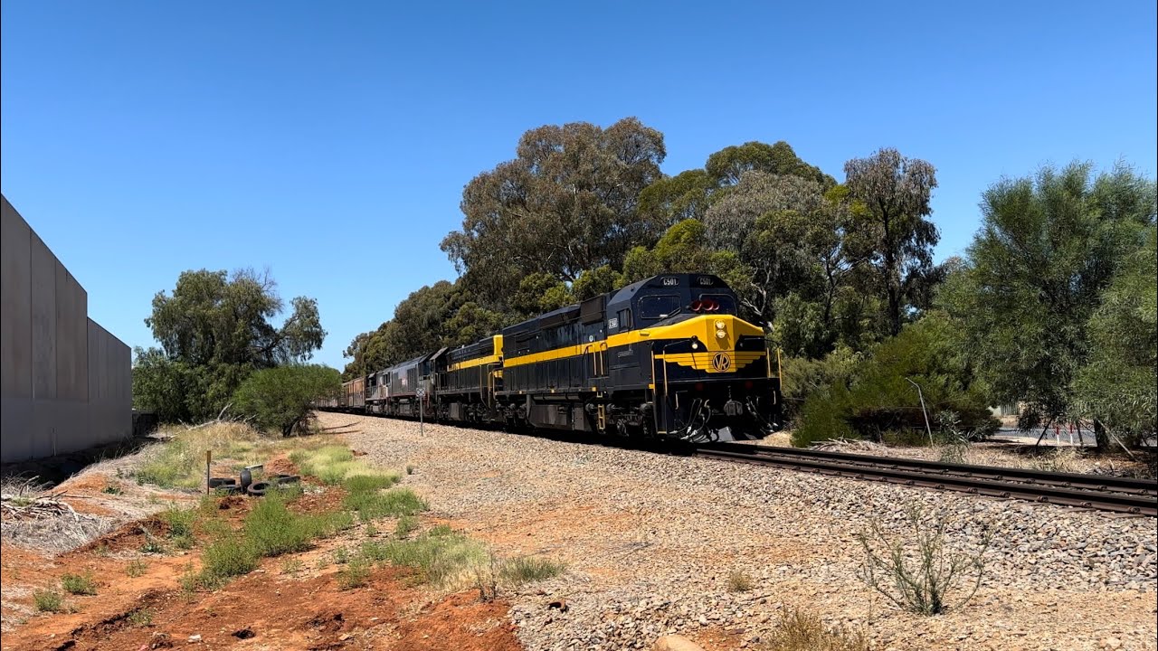 5MP9 with C501 X31 CSR014 SCT004 at Salisbury North. 9-2-2024. - YouTube