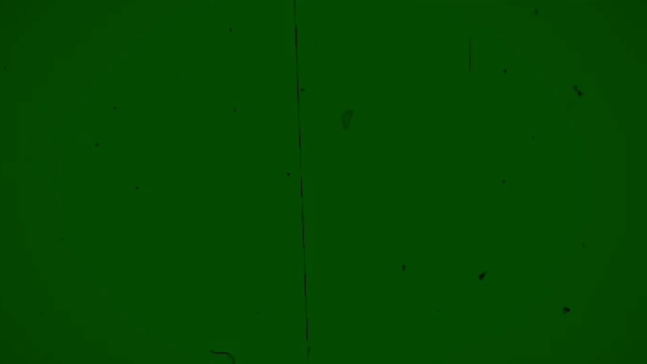 New popular vine overlays - YouTube