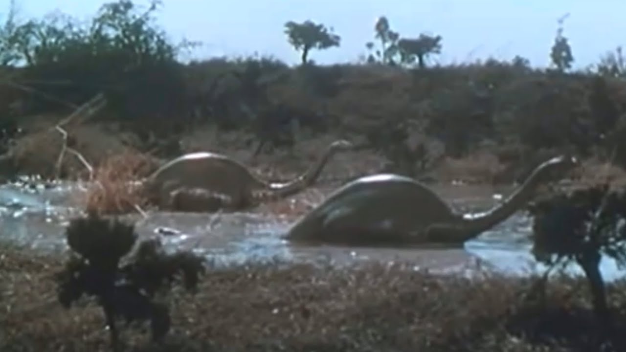 Unknown Island 1948 on the island scene - YouTube