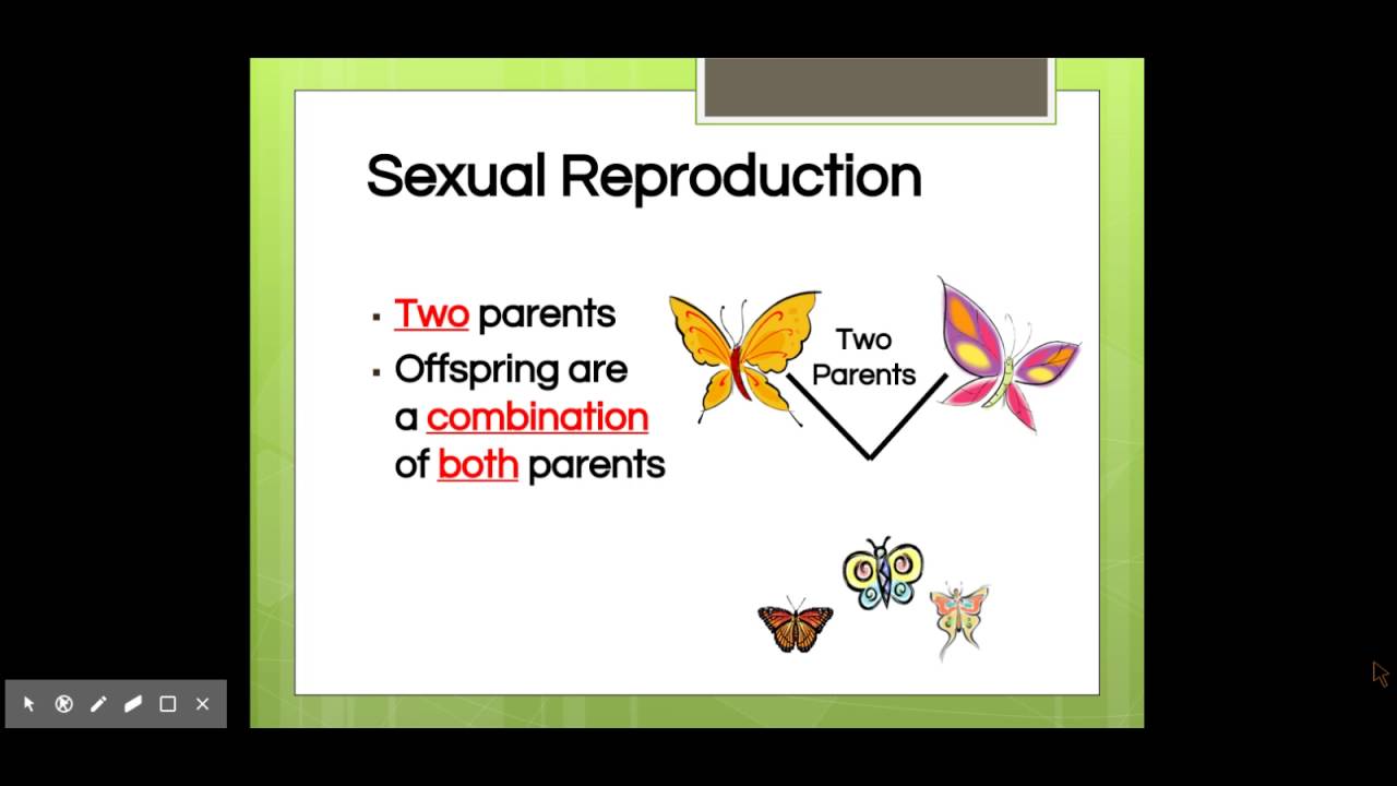 Sexual Reproduction: Video Notes - YouTube
