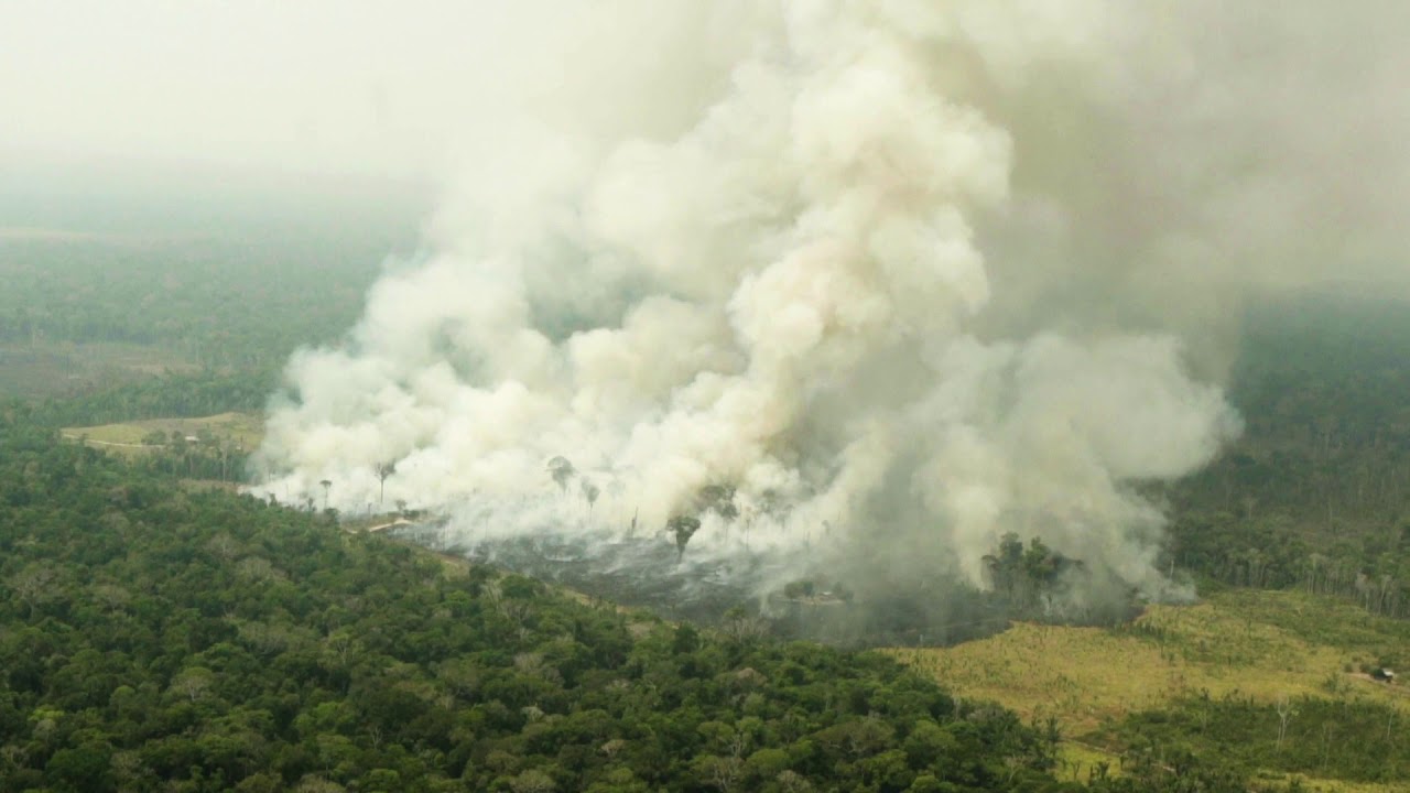 Der Amazonas brennt, und das ist kein Zufall! - YouTube