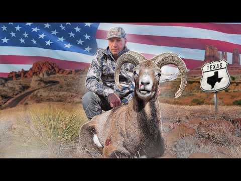 Teksas'ta Kupa Avcılığı 1 🇺🇸 Kızıl Koç 🦂#avcılık
