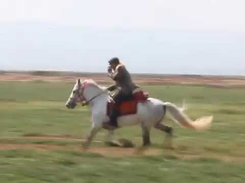 Rahvan AT Yürüyüşü 'HEY MAŞALLAH'