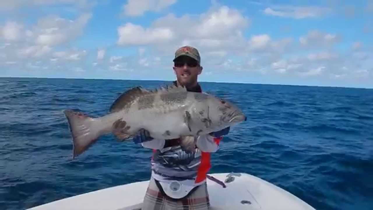 Big Coral Trout - Sean Trotter, Bugatti Reef, Mackay - YouTube