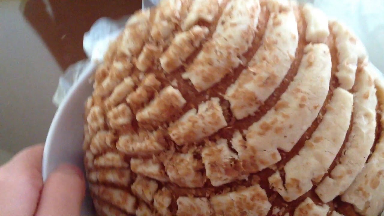 Concha/meme - YouTube