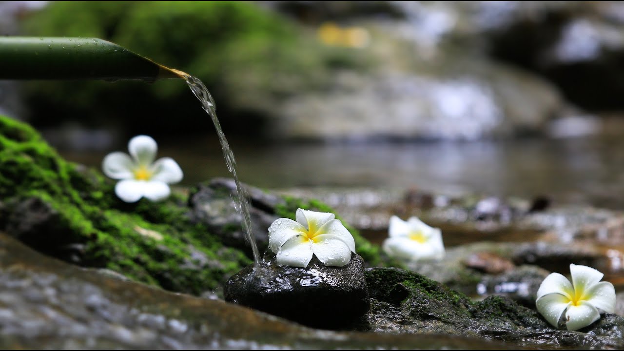 Relaxing spa with water sounds ( 4K video) - YouTube