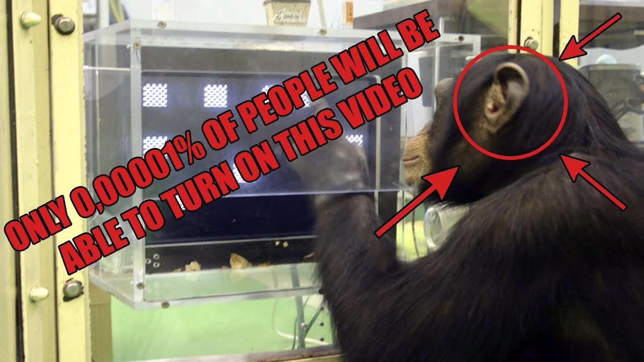 Project «MONKE» - YouTube