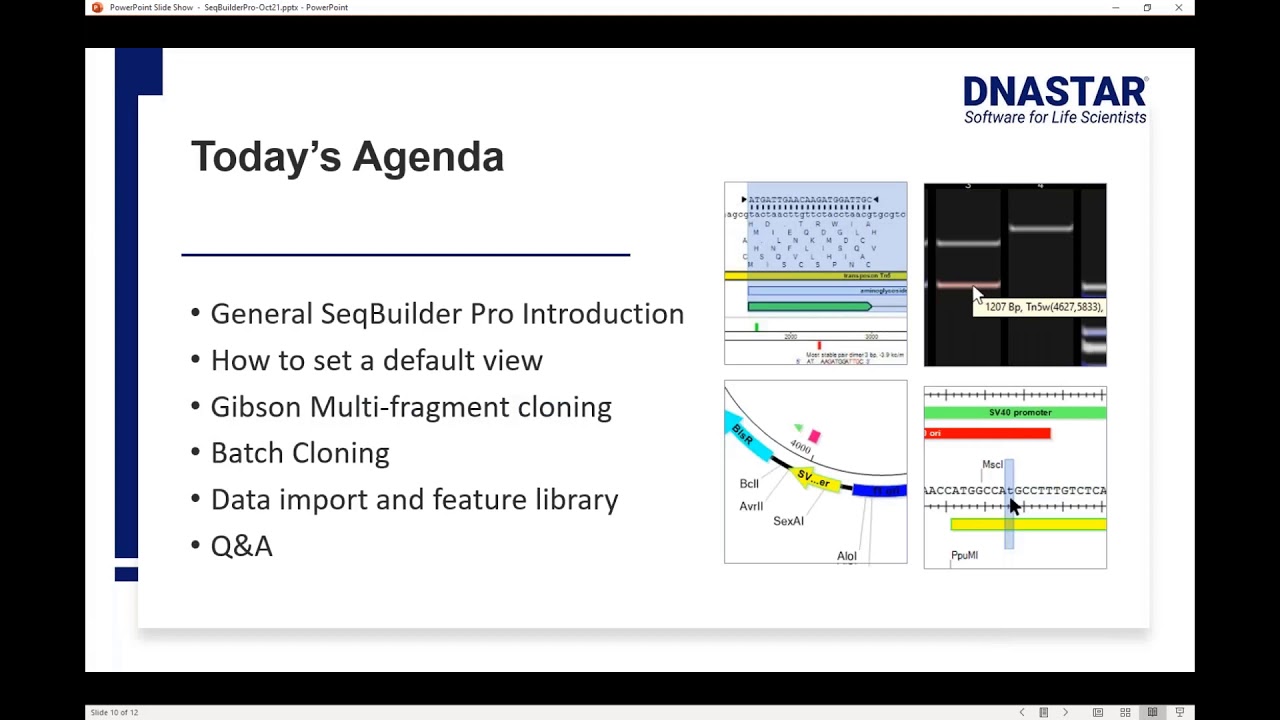 DNASTAR - Learn SeqBuilder Pro’s annotation, primer, batch cloning and ...