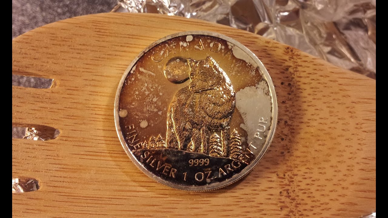 Silver Timber Wolf Tomfoolery - YouTube