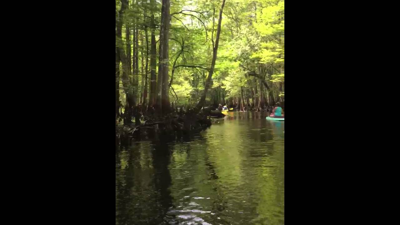 Withlacoochee River - YouTube