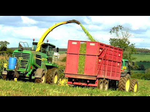 Two John Deere Choppers on the Maize! Cab View on the 7980. - YouTube