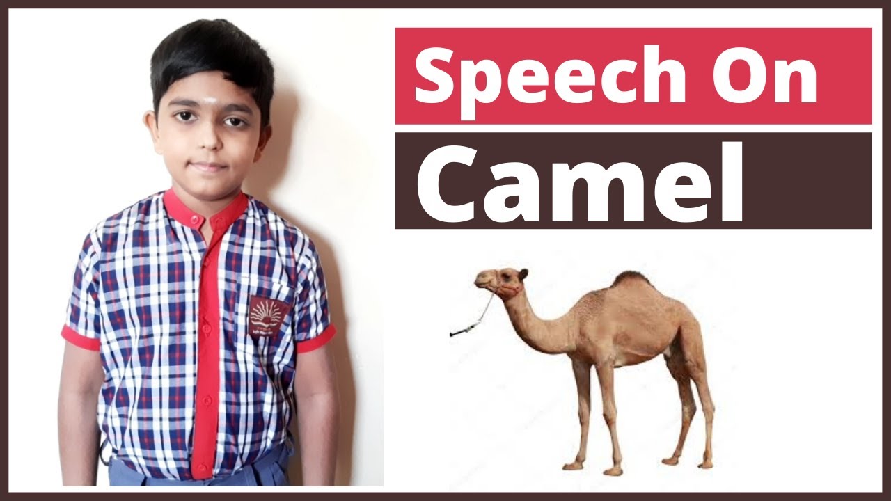 Speech On Camel For Kids || Essay On Camel For Kids || 10 Lines On ...