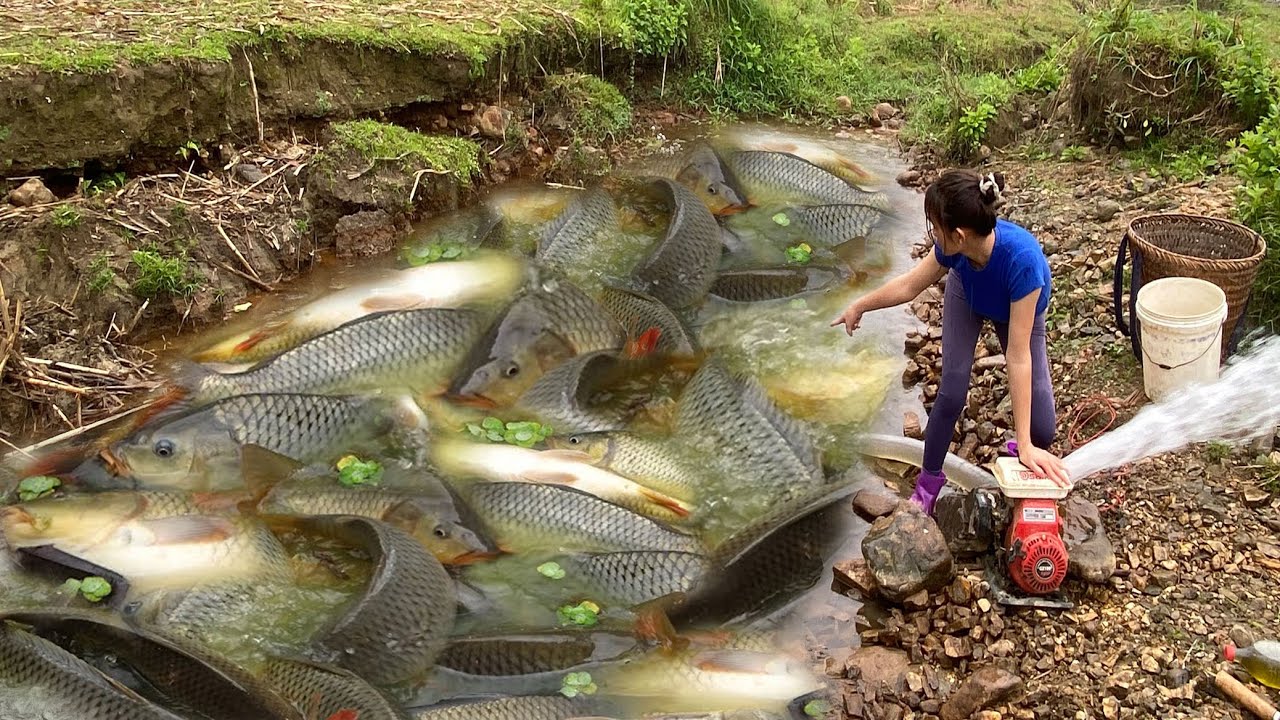 hunting fish in natural lake girl caught many fish with water pump ...