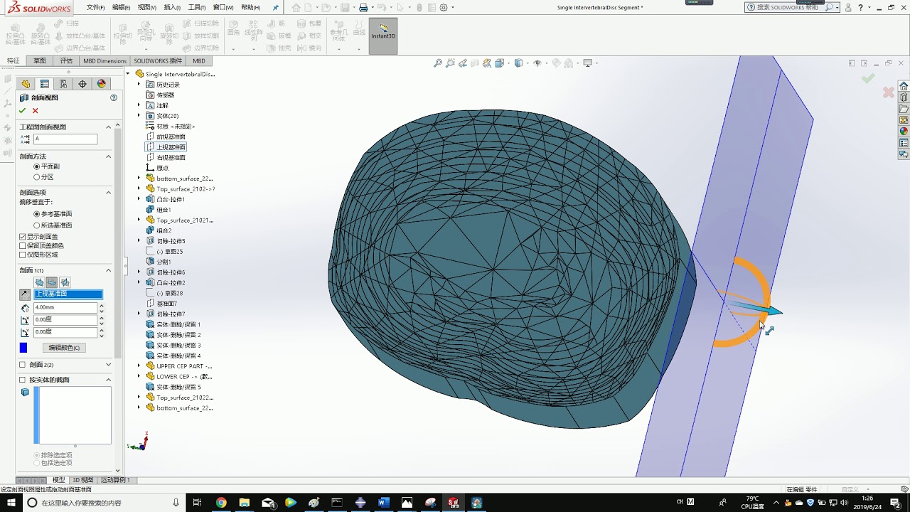 Stage 3: Real Geometry Simplified Single Inter-vertebral Disc Segment ...