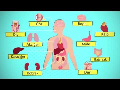 Tr_A1U6 - Türkçede Organ Adları