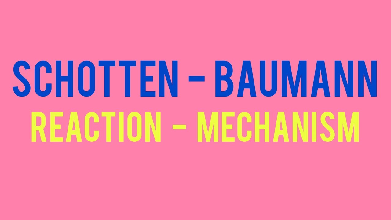 SCHOTTEN - BAUMANN REACTION MECHANISM - YouTube