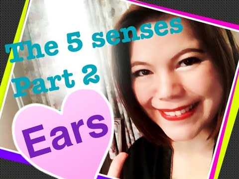 Thai Lesson 126 :The 5 Senses #2 Ears - YouTube
