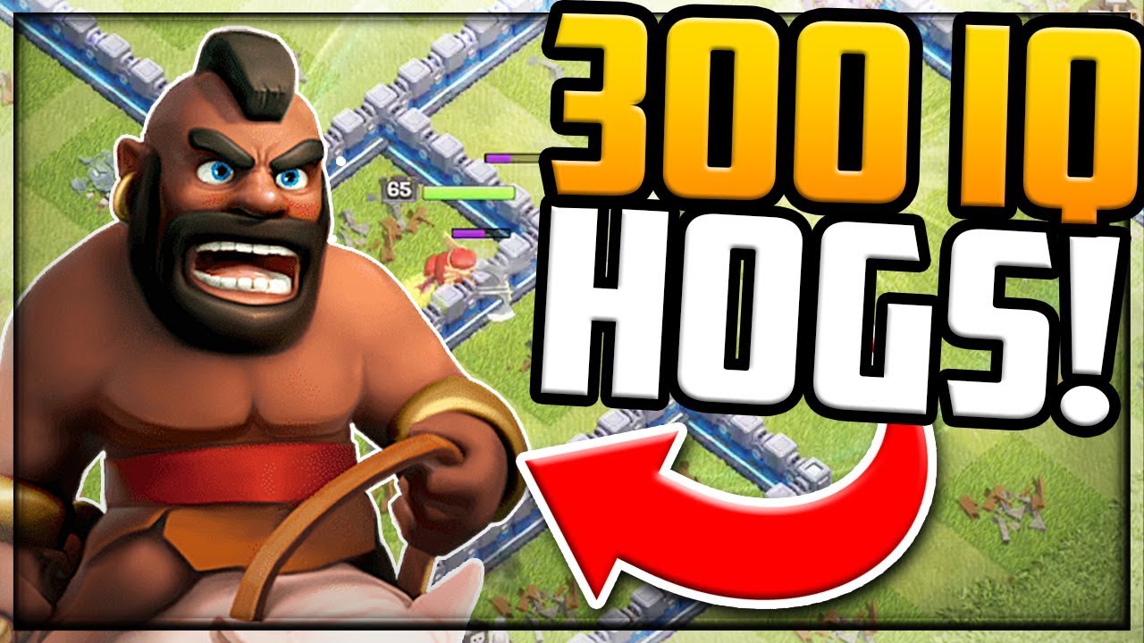 Do YOU Want 300 IQ Hog Riders? Clash of Clans Strategy - YouTube