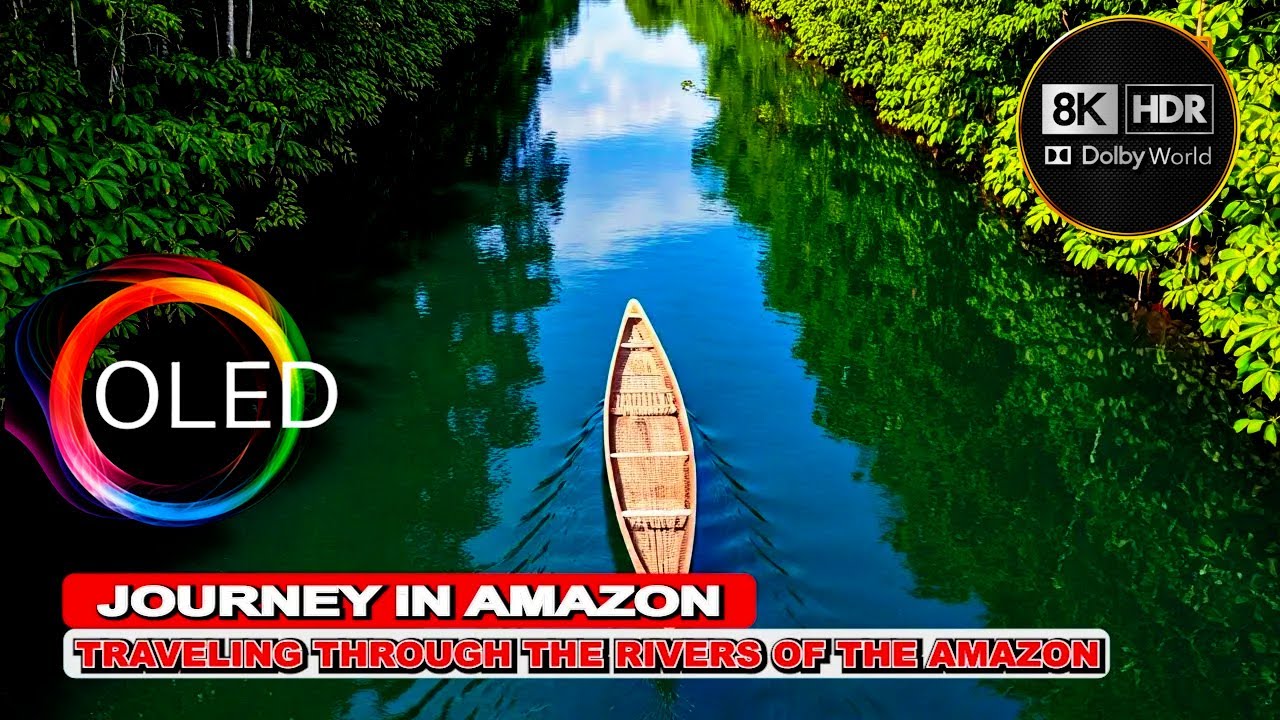 VOLTANDO DA COMUNIDADE RIBEIRINHA IMAGEMS DA BELEZAS DA NATUREZA ...