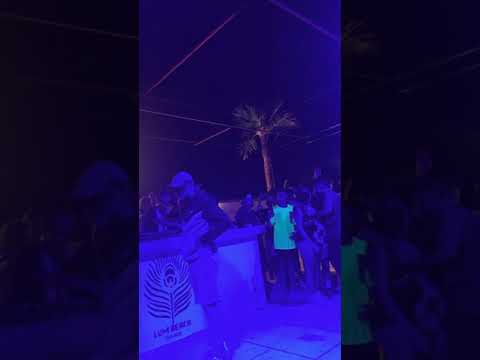 Organize MERCEDES-BENZ ( LIVE PERFORMANCE)