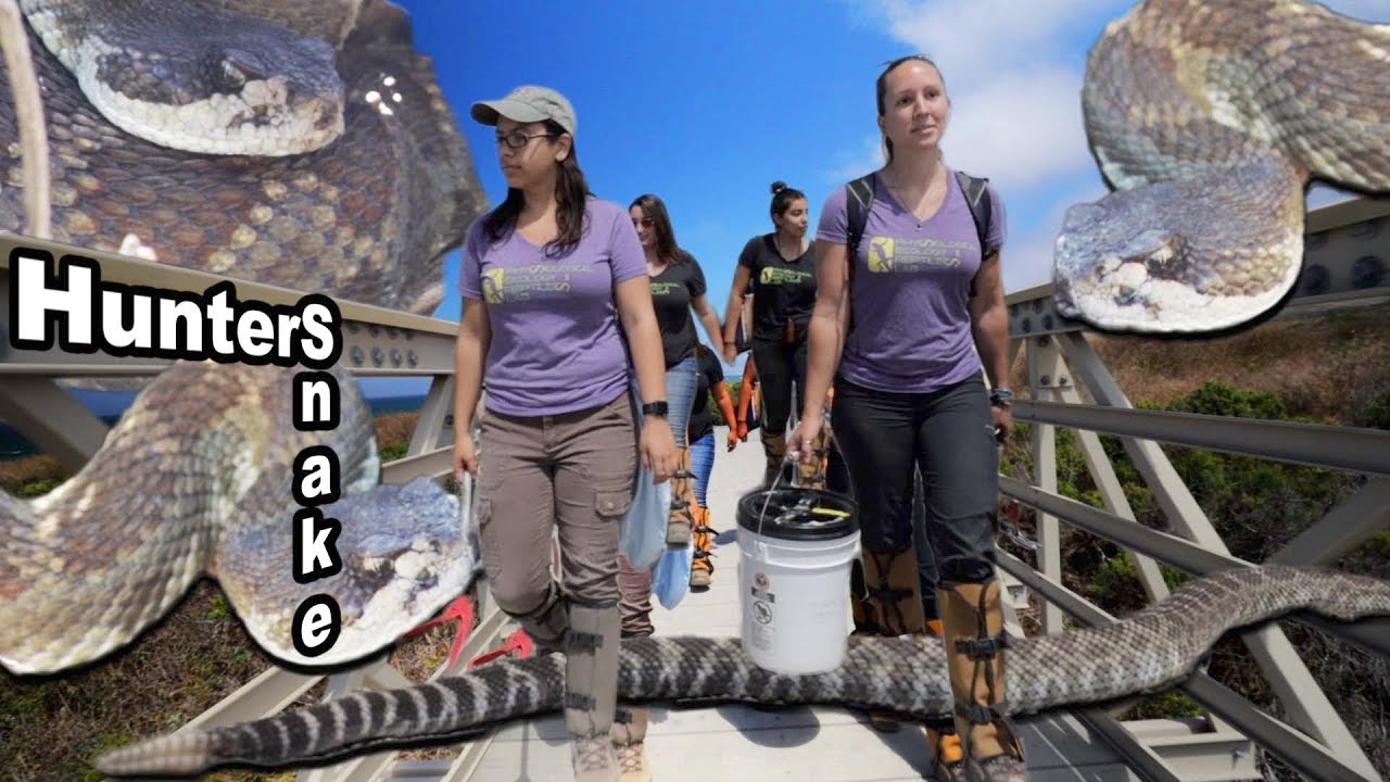 The Girls who Hunt for Rattlesnakes - YouTube