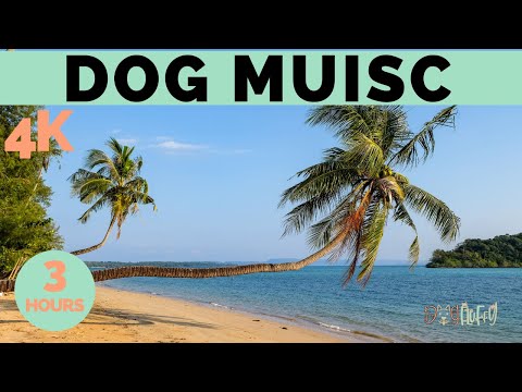 Calming Music For Dogs To Go To Sleep - Dog Fluffy 3 HOURS
