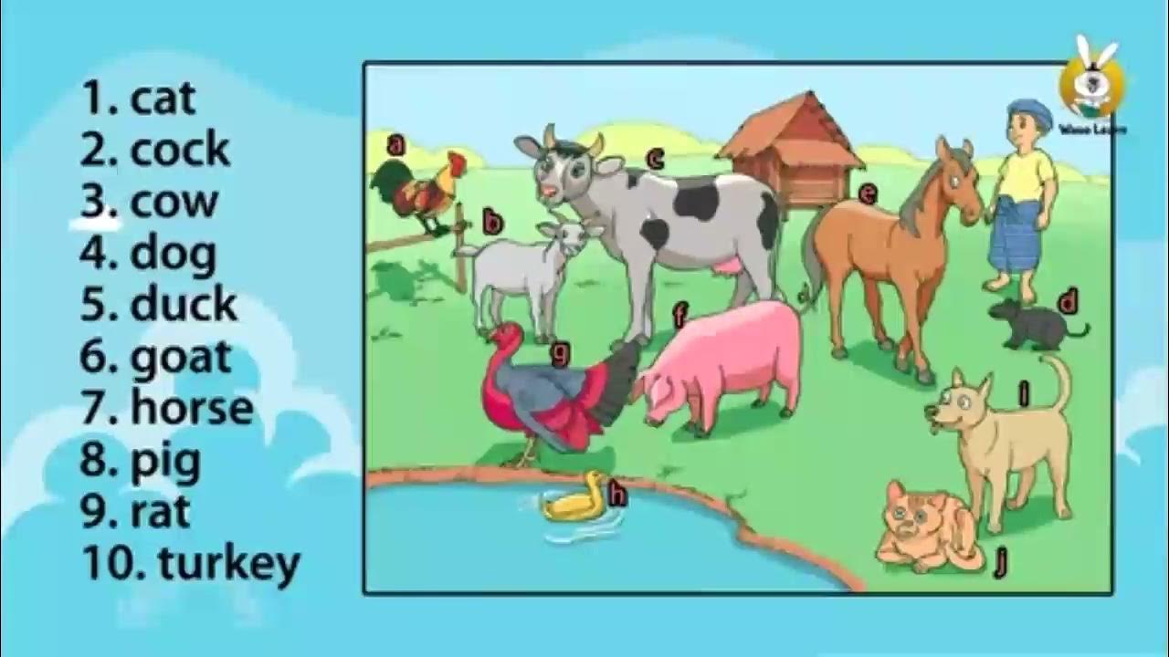 Grade 4 Unit 2 Lesson 1 1A - YouTube