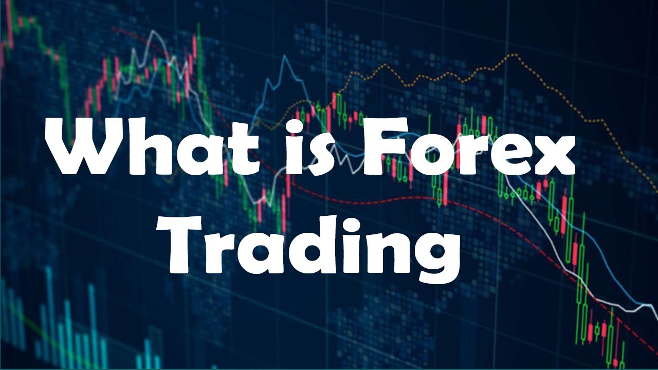 What is Forex Trading II Exness II Octafx - YouTube