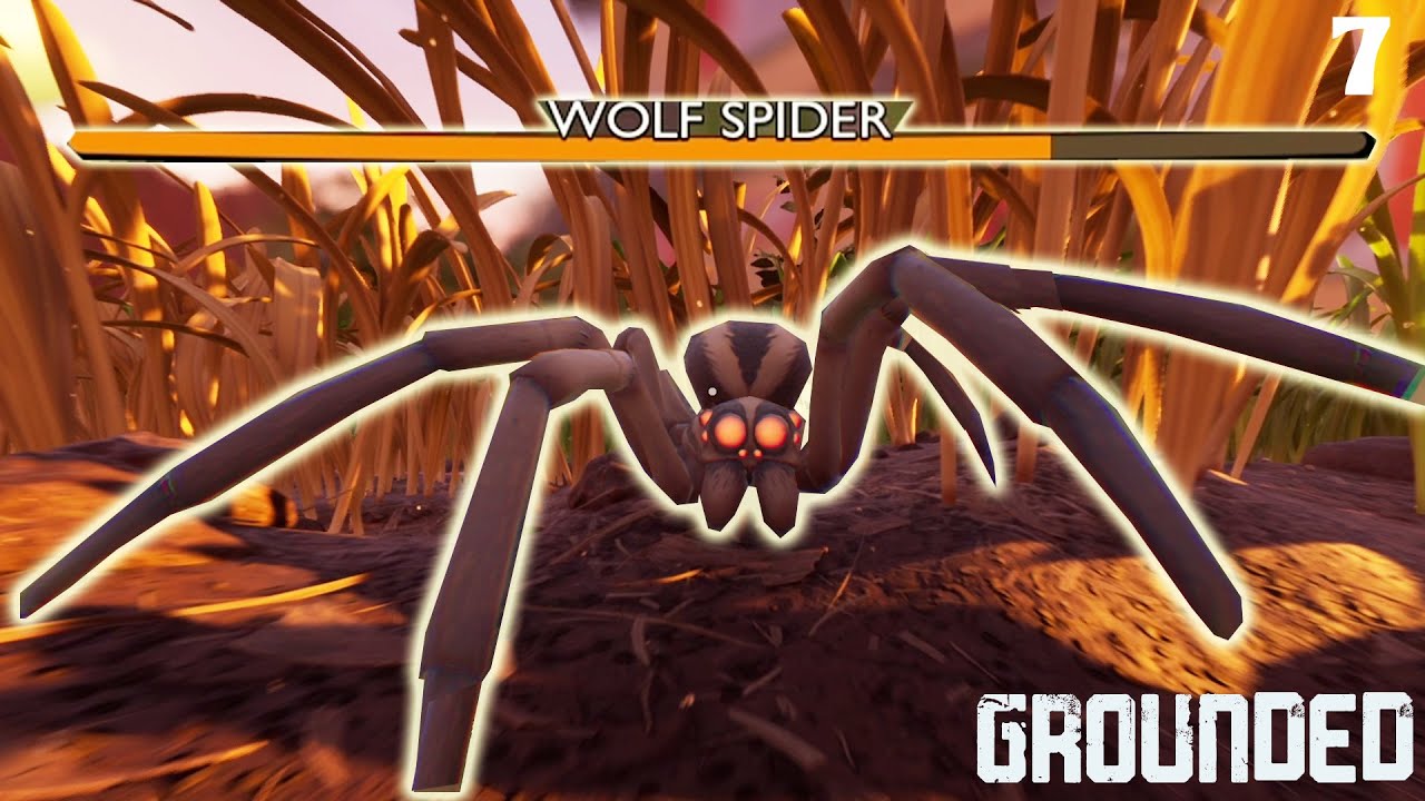 Akhirnya Mengalahkan Wolf Spider! - 7 Grounded Multiplayer - YouTube
