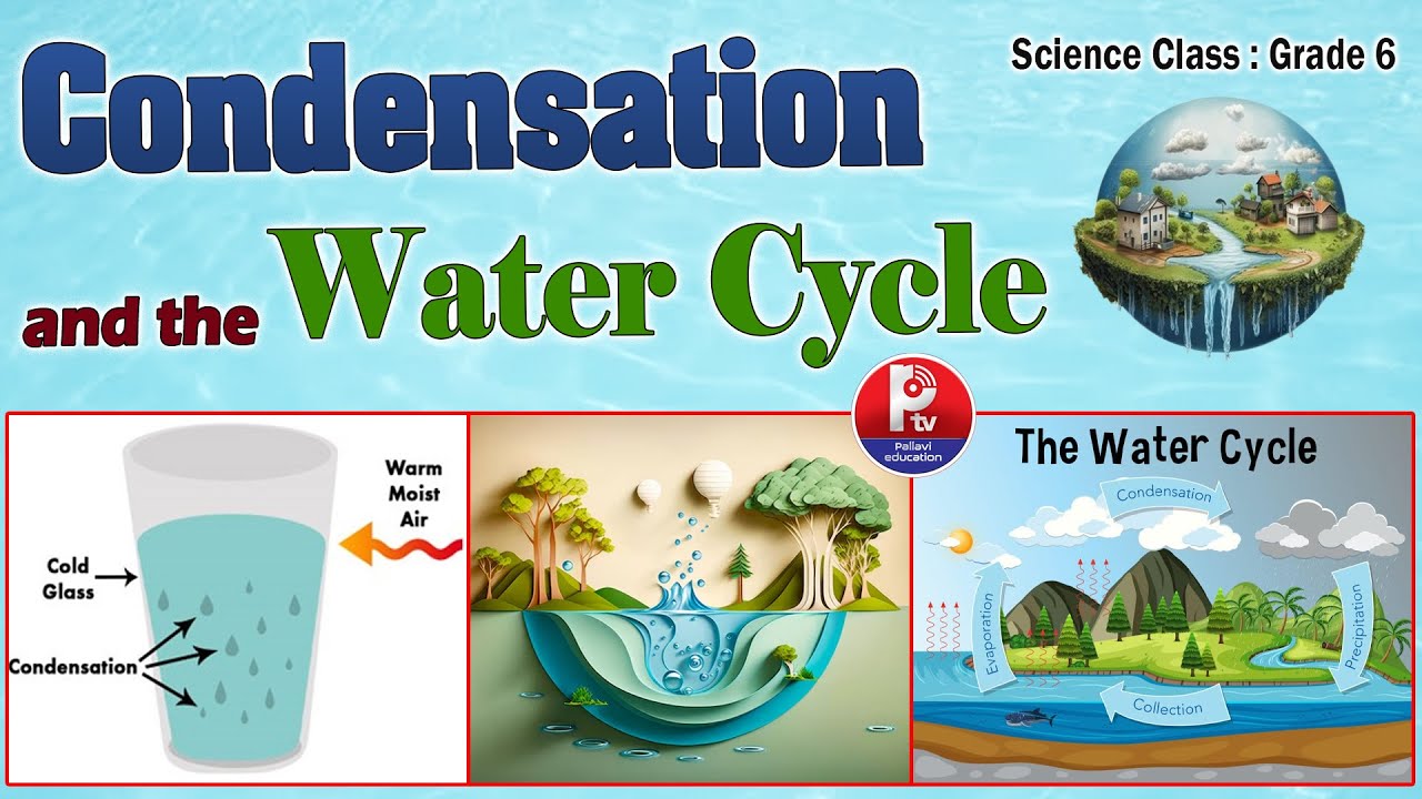 Understanding Condensation And The Water Cycle | Grade 6 Science ...