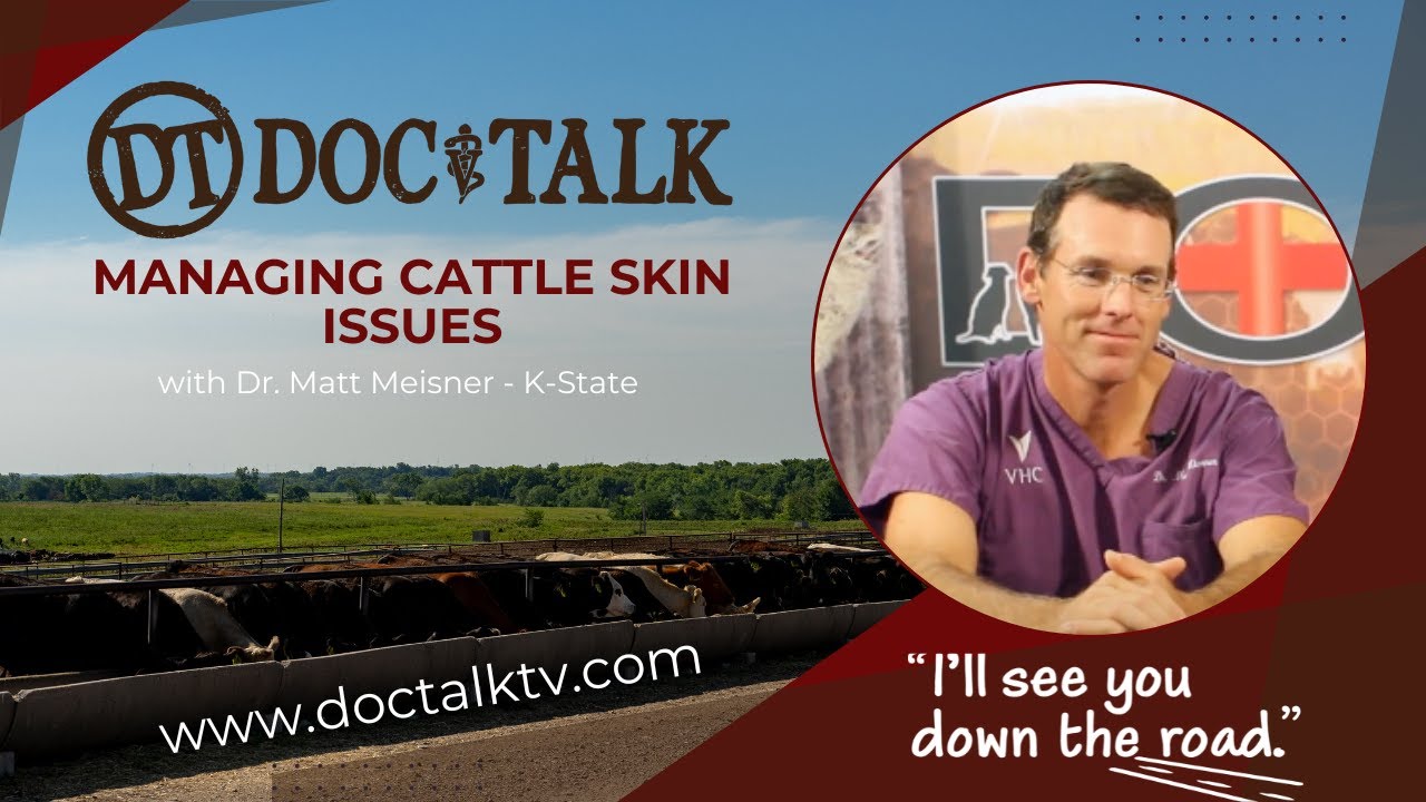 DocTalk Ep 581 - Managing Cattle Skin Issues with Dr. Matt Meisner ...