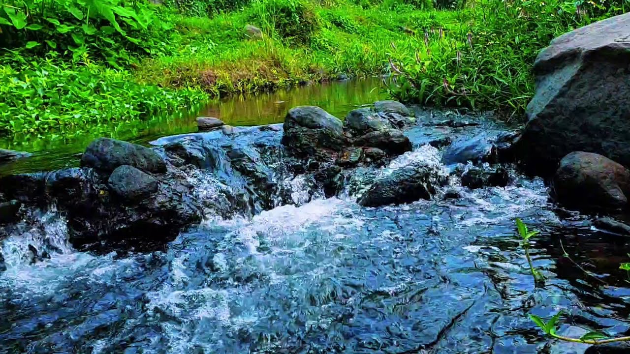 Beautiful Magical sounds of the forest, peaceful stream sound, Sound ...