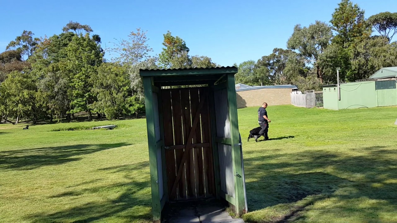 Chris Loverseed and Kovacs Ninja IPO 3 obedience club trial 93 points ...