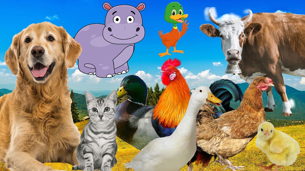 Learn about wild and farm animals and their sounds - cat, dog, lion ...