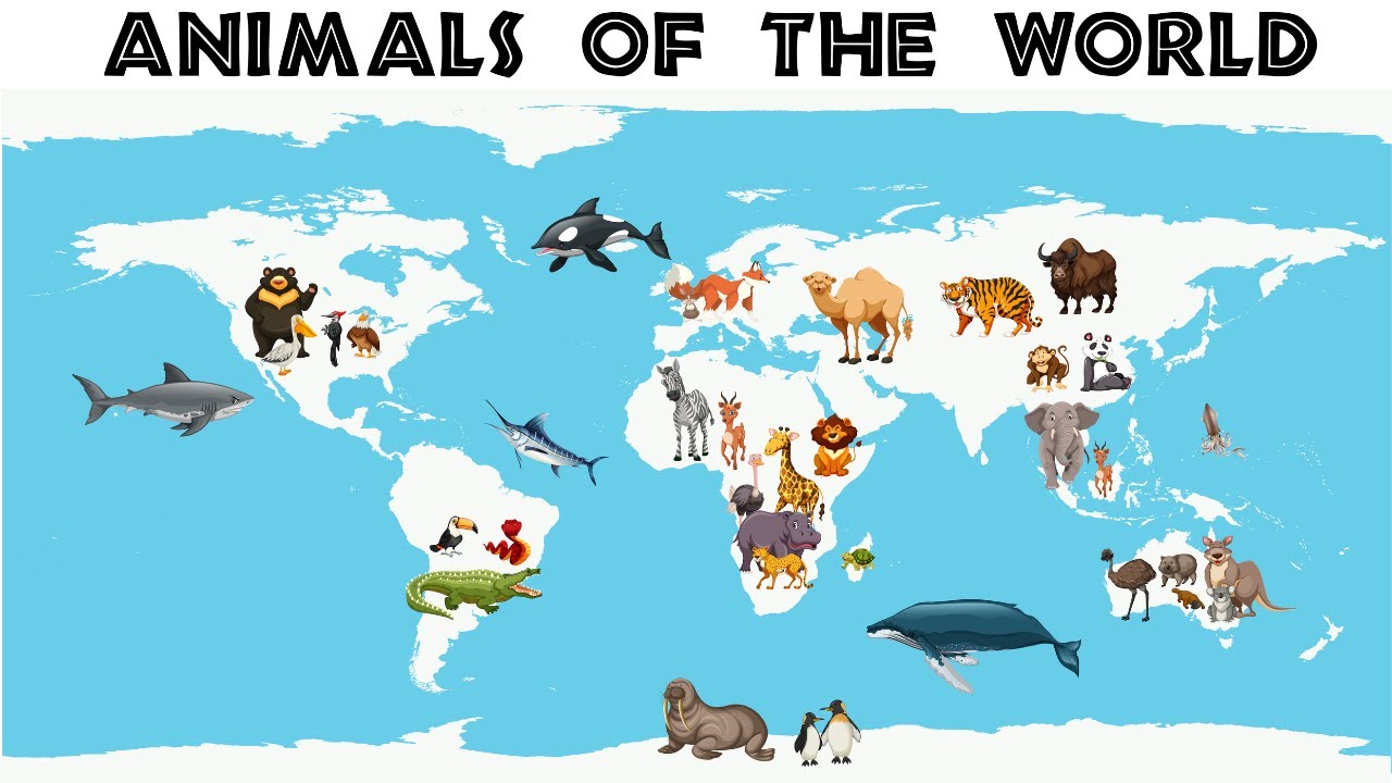 The Incredible Hand-Drawn Map of the World's Wildlife - YouTube