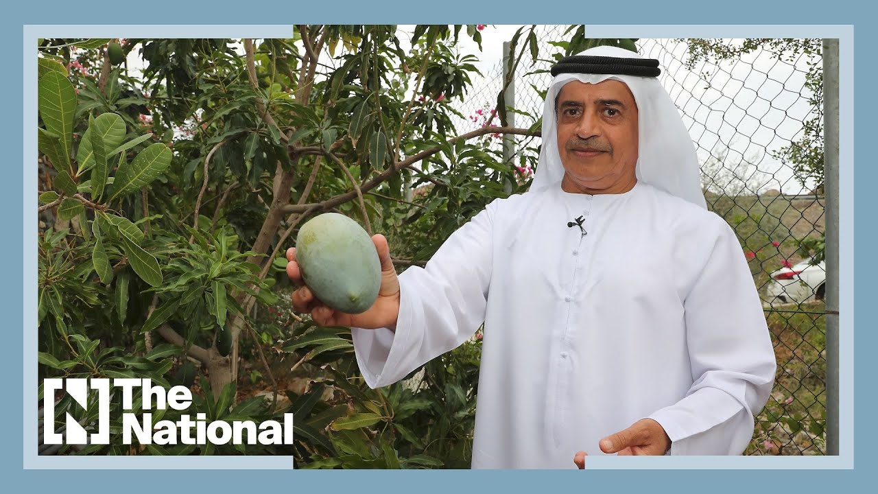 Meet the Emirati man growing hundreds of exotic fruits and plants in ...