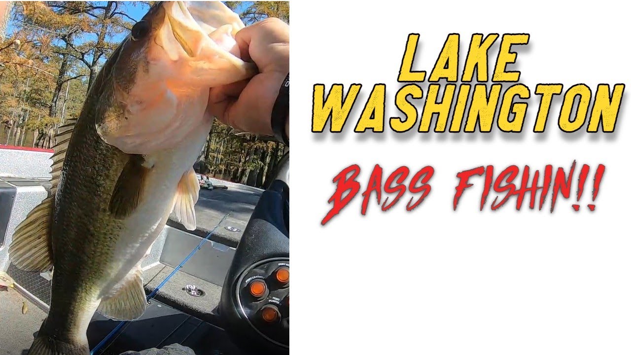 LAKE WASHINGTON BASS FISHING (EARLY FALL) - YouTube
