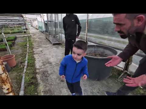 POYRAZ ELİF K-KOP HUNTRİX RUMİ KAYIP!!!ELİF RUMİYİ ARIYOR!!