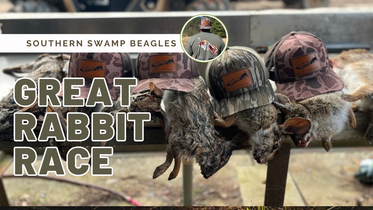 Great rabbit race! - YouTube