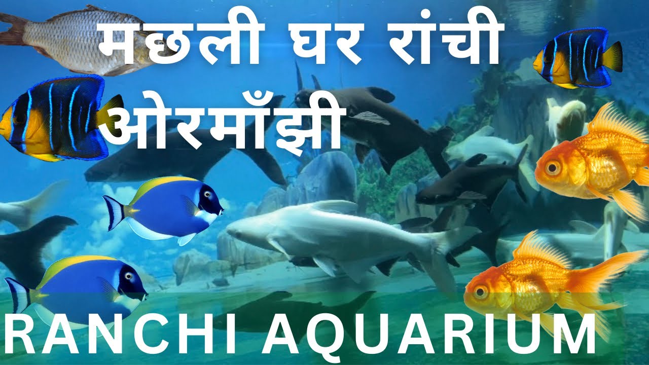 Machli Ghar Ranchi Ormanjhi |Ranchi ka machlighar | aquarium Ranchi ...