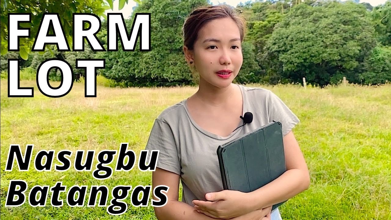 Farm Lot in Nasugbu Batangas with Fruit Bearing Trees and Private ...
