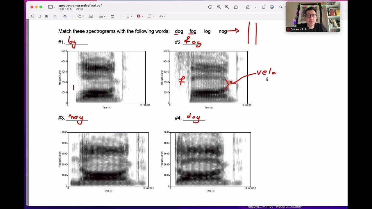 Linguistics 341 - Introduction to Phonetics - Spectrogram Reading ...