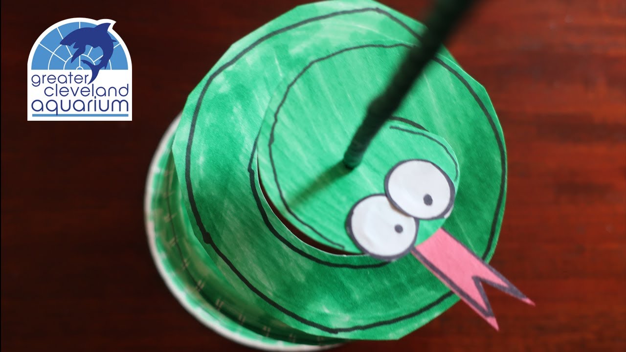 How to Make a Springy Snake - YouTube