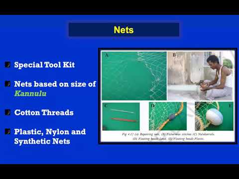Oceans and Fishing | Bhavanapadu Village | Part 2 | VII Class - YouTube