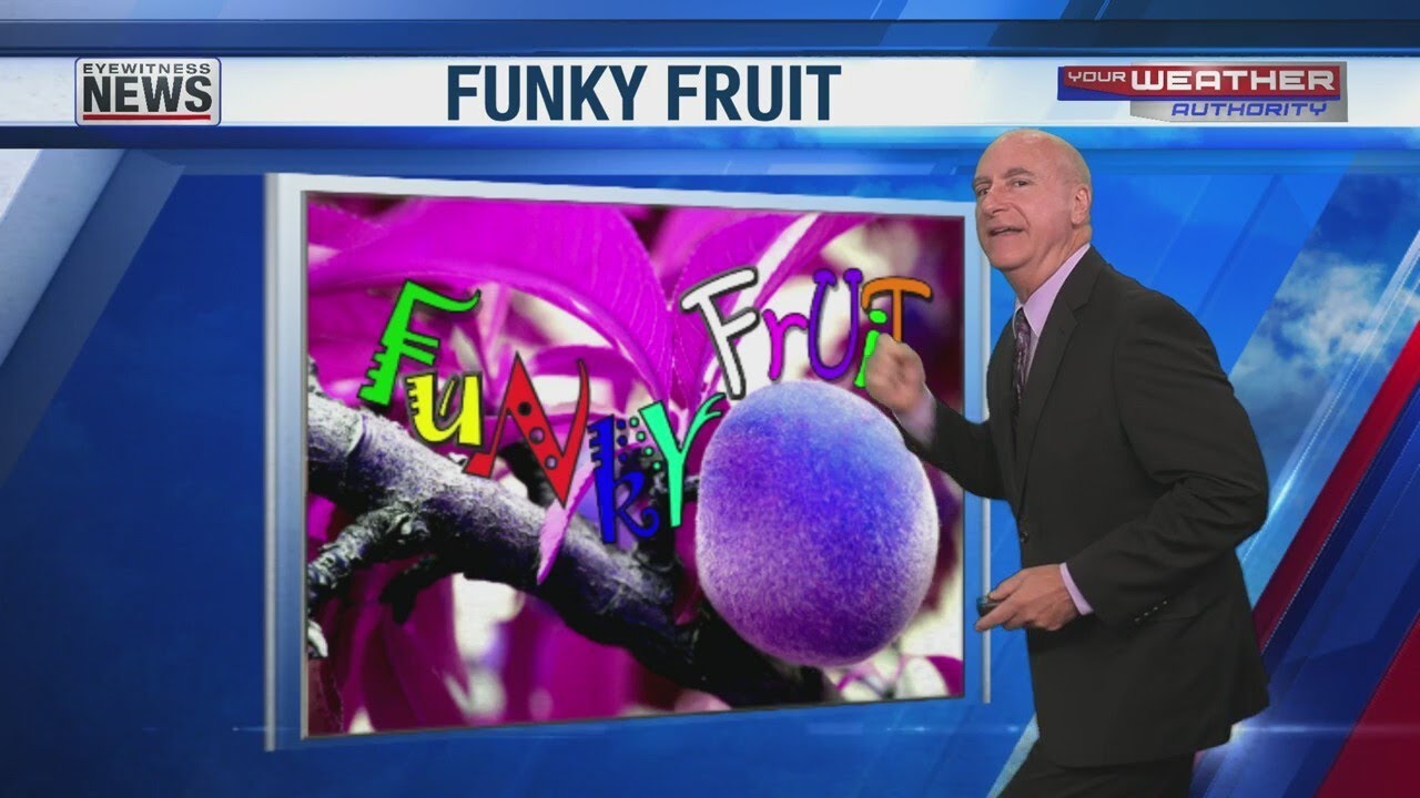 FuNkY FrUiT Creepy Face Mater - YouTube