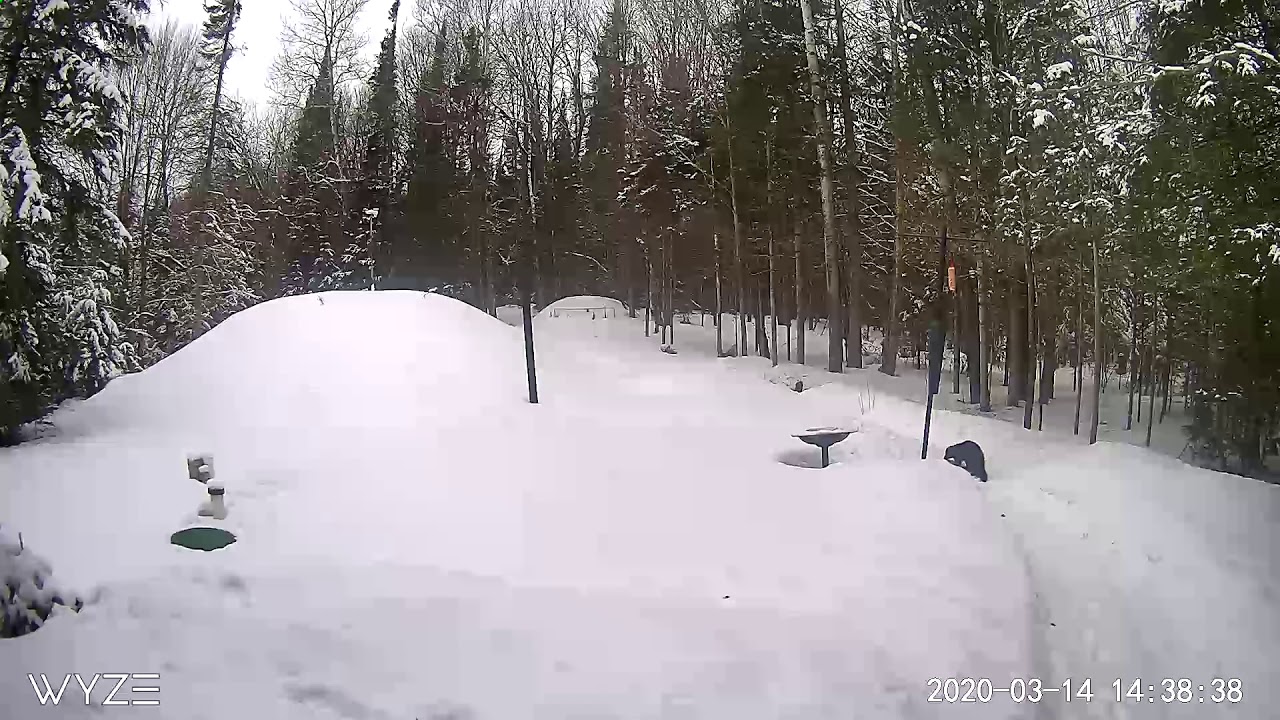 Fisher in northern Wisconsin - YouTube