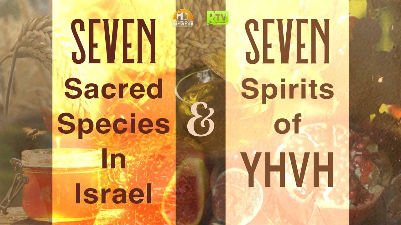 Seven Sacred Species in Israel & Seven Spirits of YHVH Ep 4 - YouTube