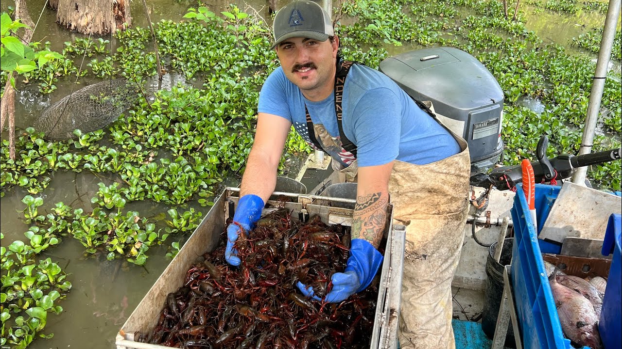 Crawfishing the basin eps 6 - YouTube