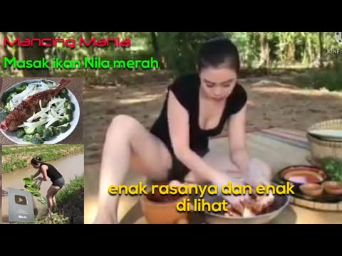 Mancing mania - Fishing | jaring/jala ikan nila di sungai | Mancing cantik